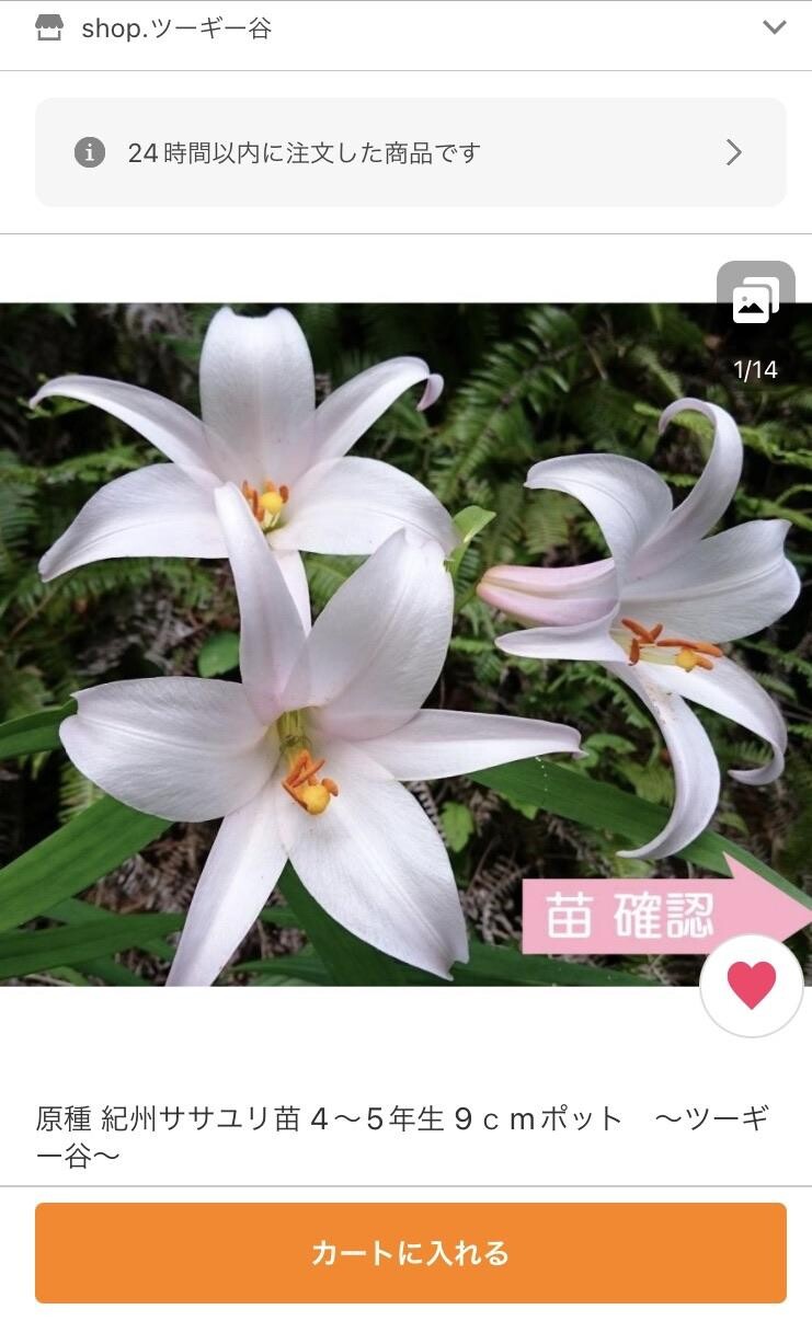 ぁあ。ダメだ… またパクって、、 いやぽ... / 熊ぴぃさんのモーメント | YAMAP / ヤマップ