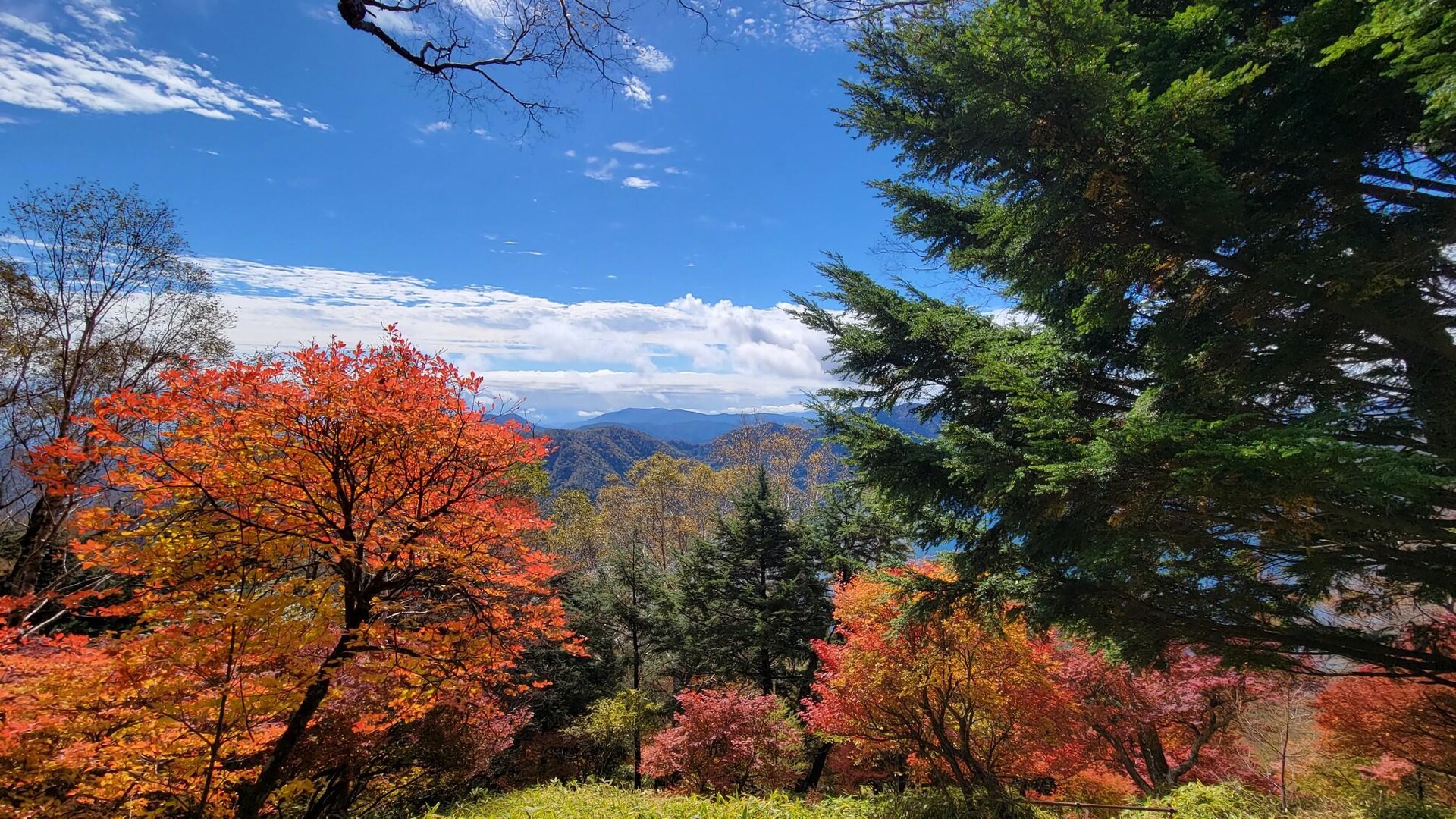 紅葉真っ最中の男体山！ / taroさんの男体山の活動データ | YAMAP / ヤマップ