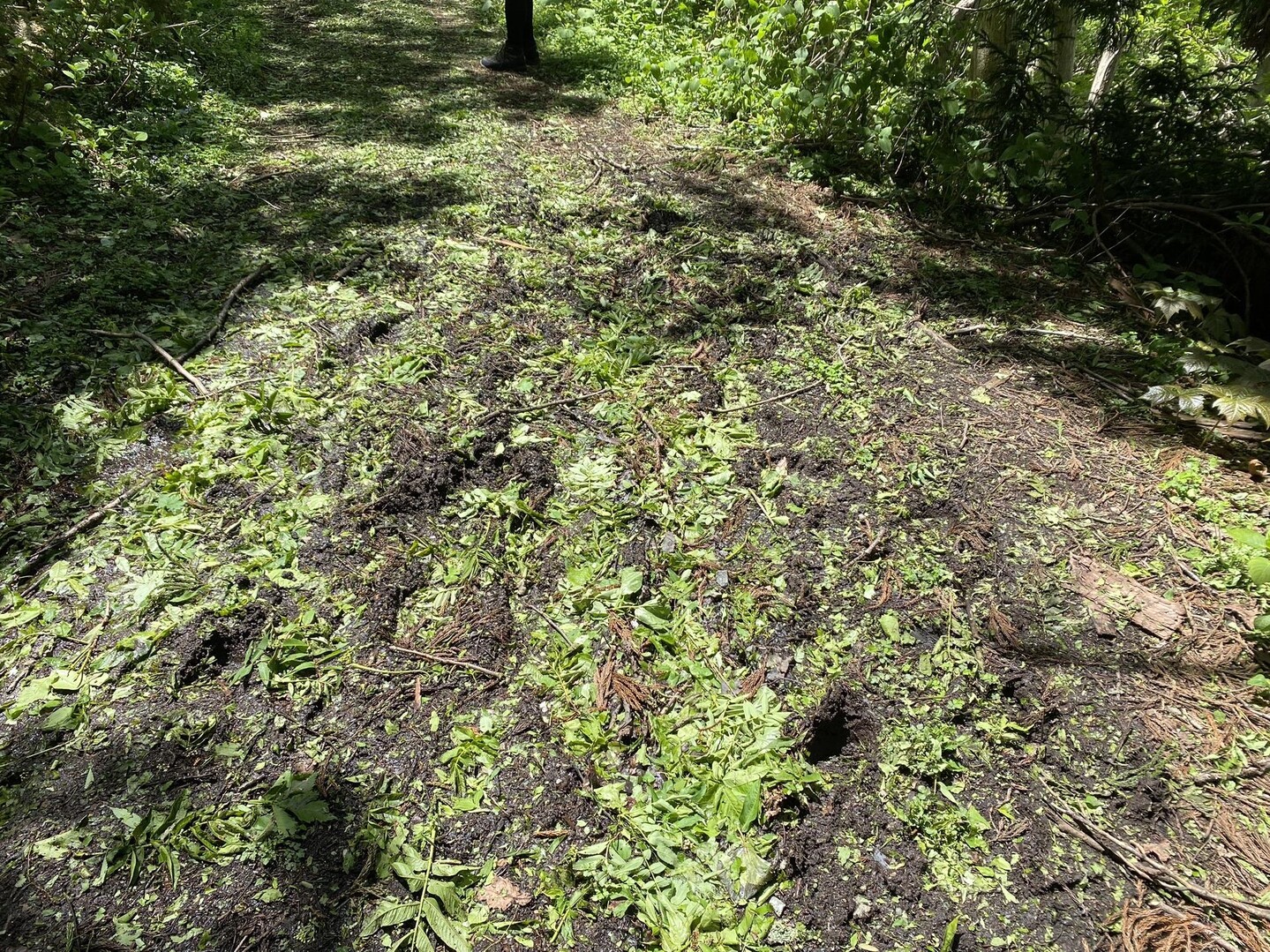 Gentil15さんの投稿したフィールドメモ | YAMAP / ヤマップ