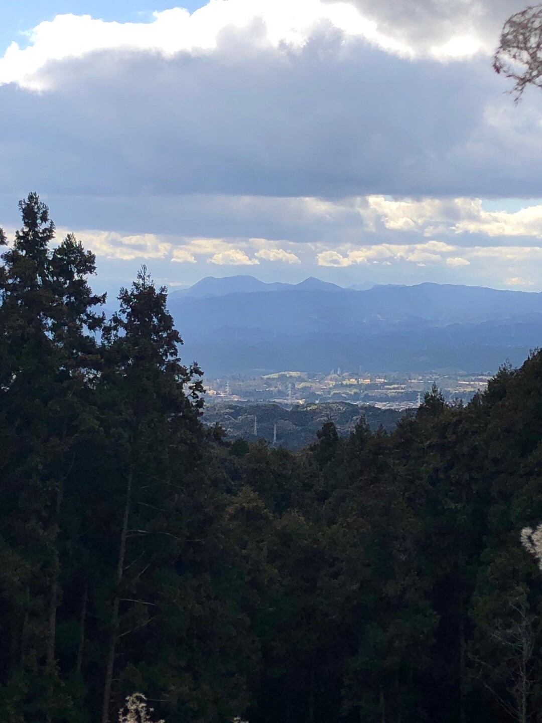 長谷山 家族トレイル / Mt.zakiさんの経ヶ峰の活動データ | YAMAP / ヤマップ