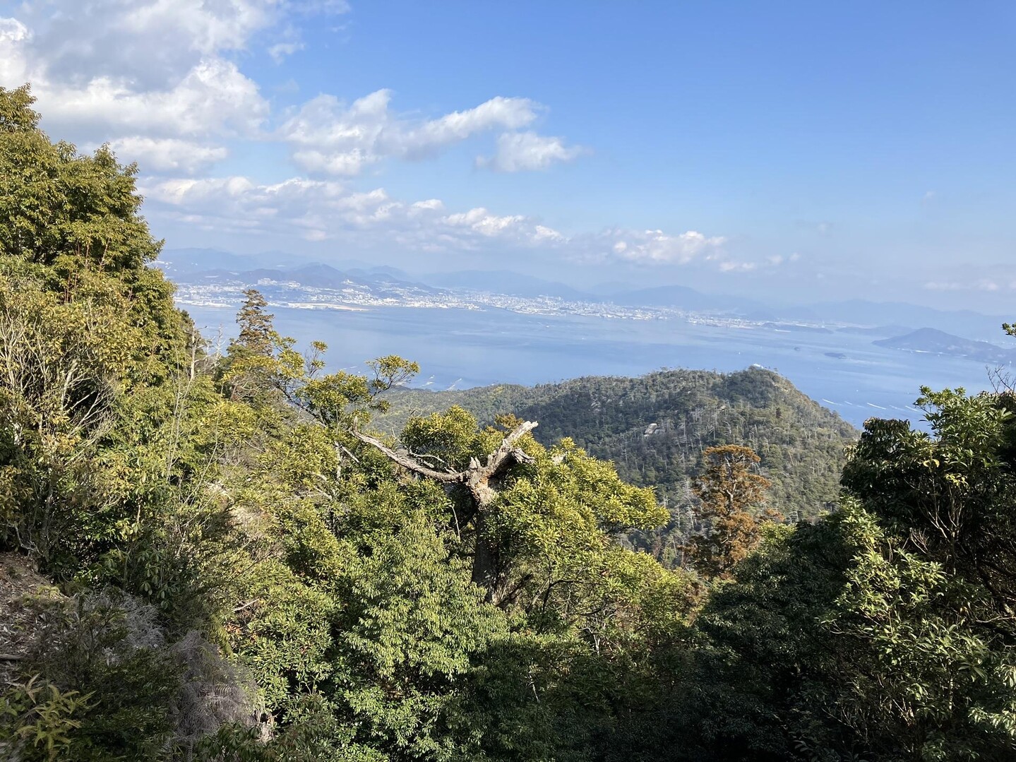 要害山・弥山・駒ヶ林・三剣山 / Tady さんの宮島（厳島）・弥山の活動データ | YAMAP / ヤマップ