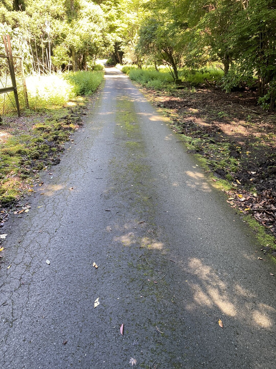 Gentil15さんの投稿したフィールドメモ | YAMAP / ヤマップ