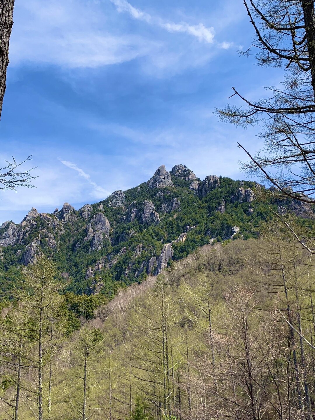 初夏の瑞牆山へGO！ @山梨県🌿 / ゆうさんの瑞牆山・金峰山の活動データ | YAMAP / ヤマップ