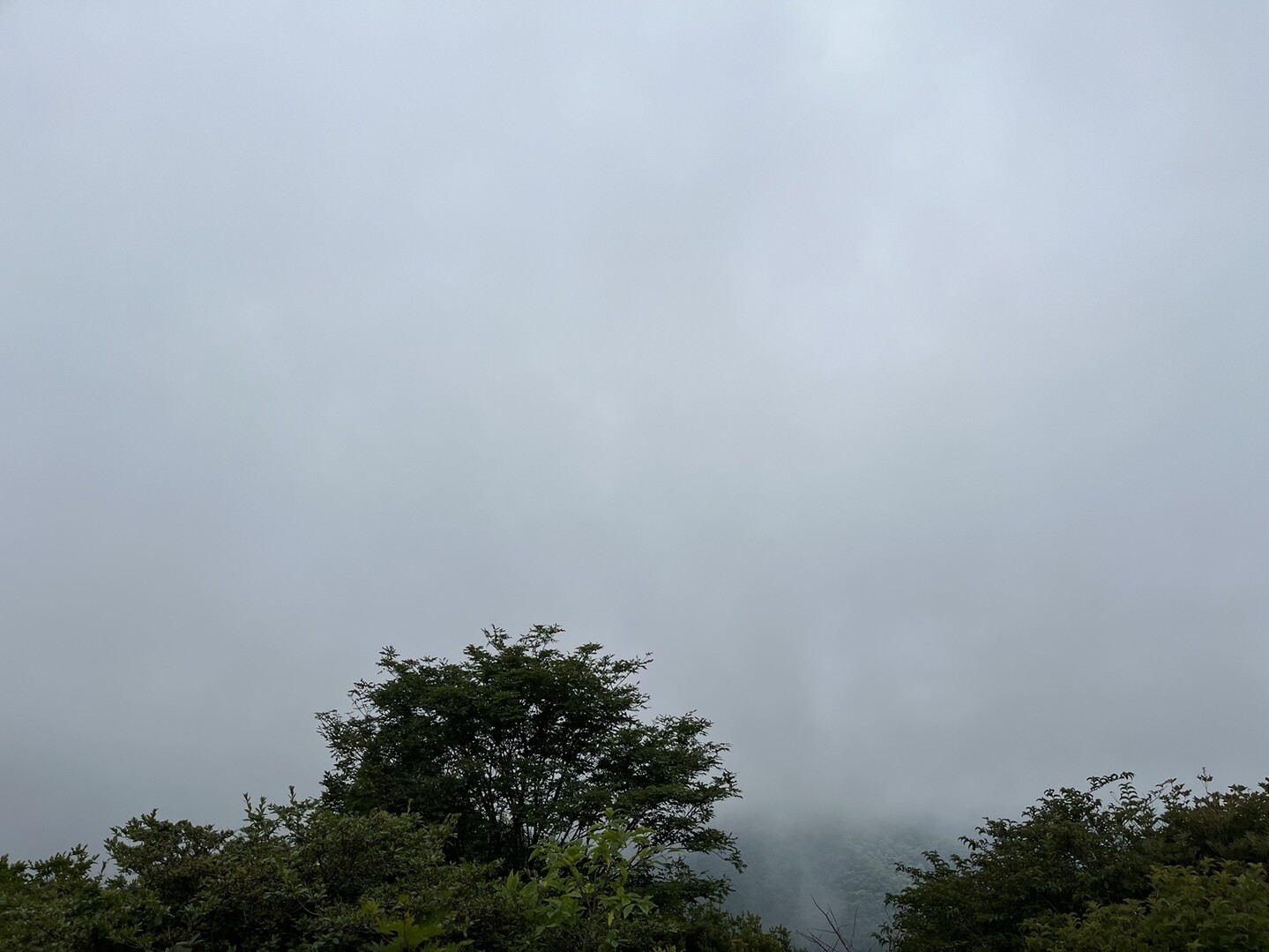 浅間隠山頂上に着きました。 真っ白😭... / Kobbyさんのモーメント | YAMAP / ヤマップ