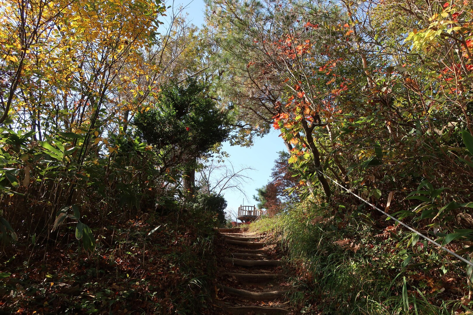 鬼ヶ岳・奥鬼山・蛇ヶ岳 / りょさんの鬼ヶ岳の活動データ | YAMAP / ヤマップ
