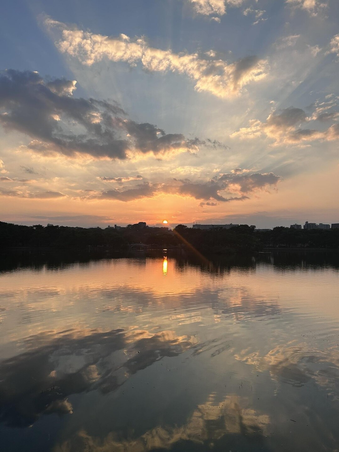 大濠公園ウォーキング / Komaさんのウォーキングの活動データ | YAMAP / ヤマップ