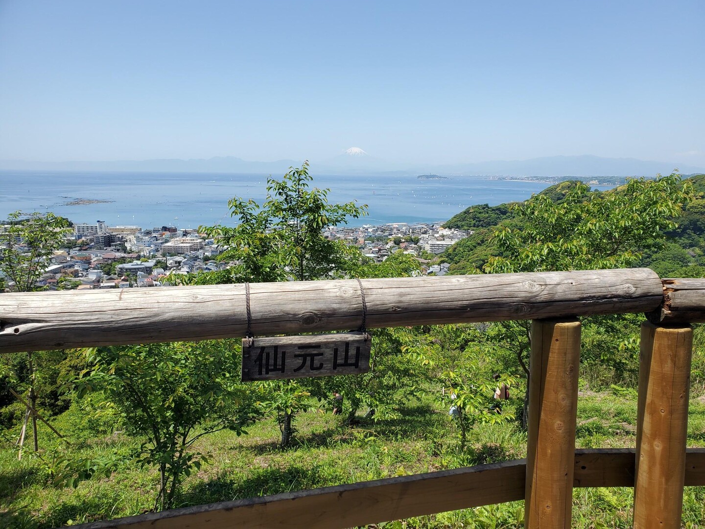 仙元山・ソッカ・観音塚・高塚 / Moさんの三浦アルプス・二子山・仙元山の活動データ | YAMAP / ヤマップ