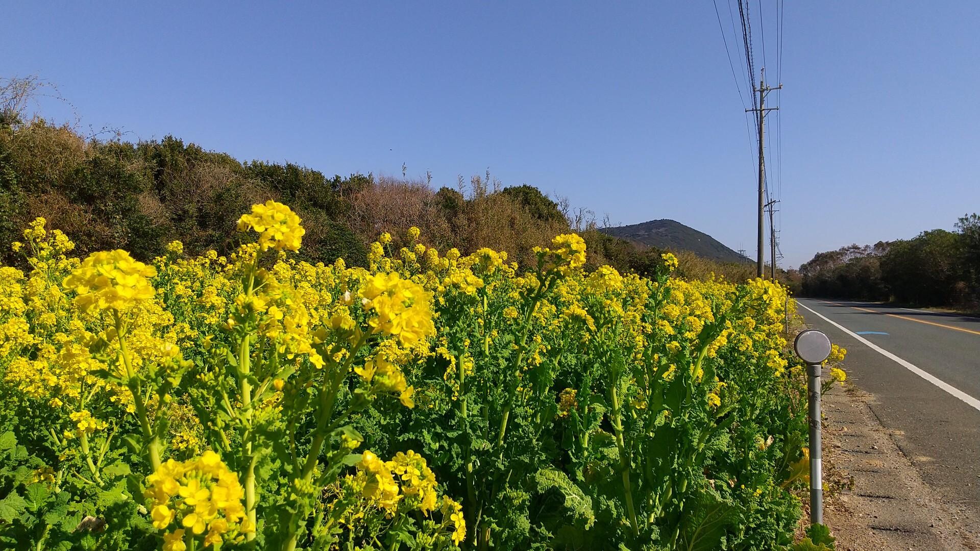 大山[愛知130]★─ANNを聴きながら📻️vol.1 / ごんべいさんの蔵王山・衣笠山・滝頭山の活動日記 | YAMAP / ヤマップ