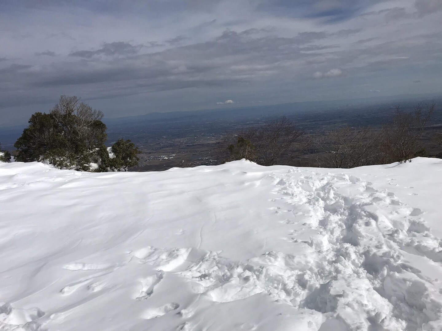 雪の三方山・小倉山☃️ / kunitaroさんの養老山・笙ヶ岳・三方山の活動データ | YAMAP / ヤマップ