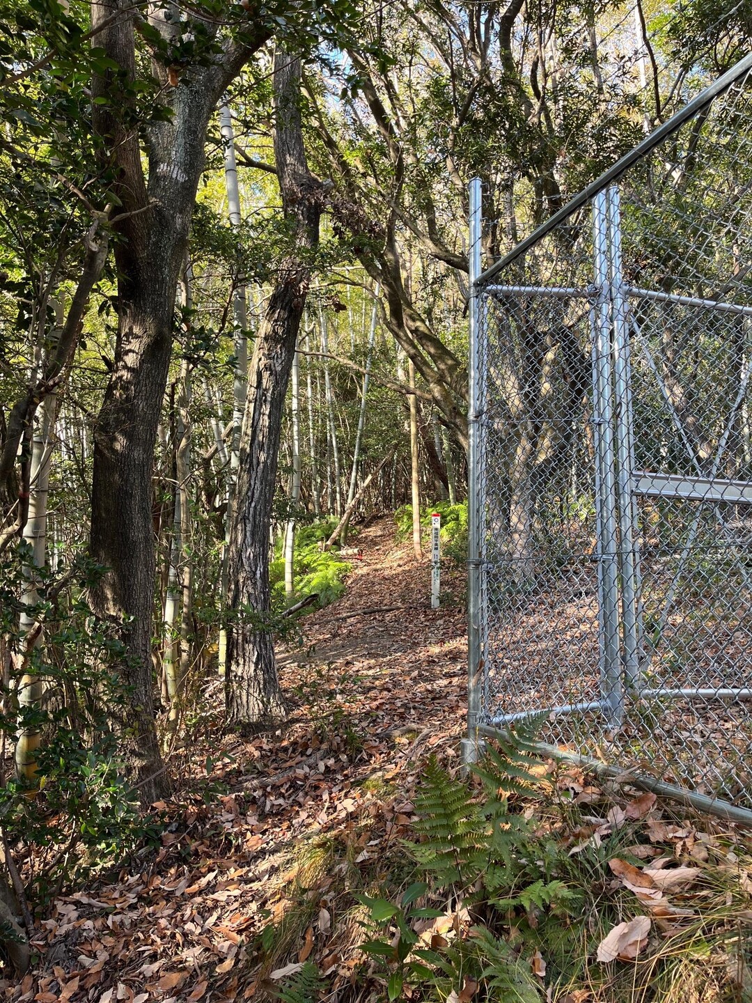 nekodakeさんの投稿したフィールドメモ | YAMAP / ヤマップ