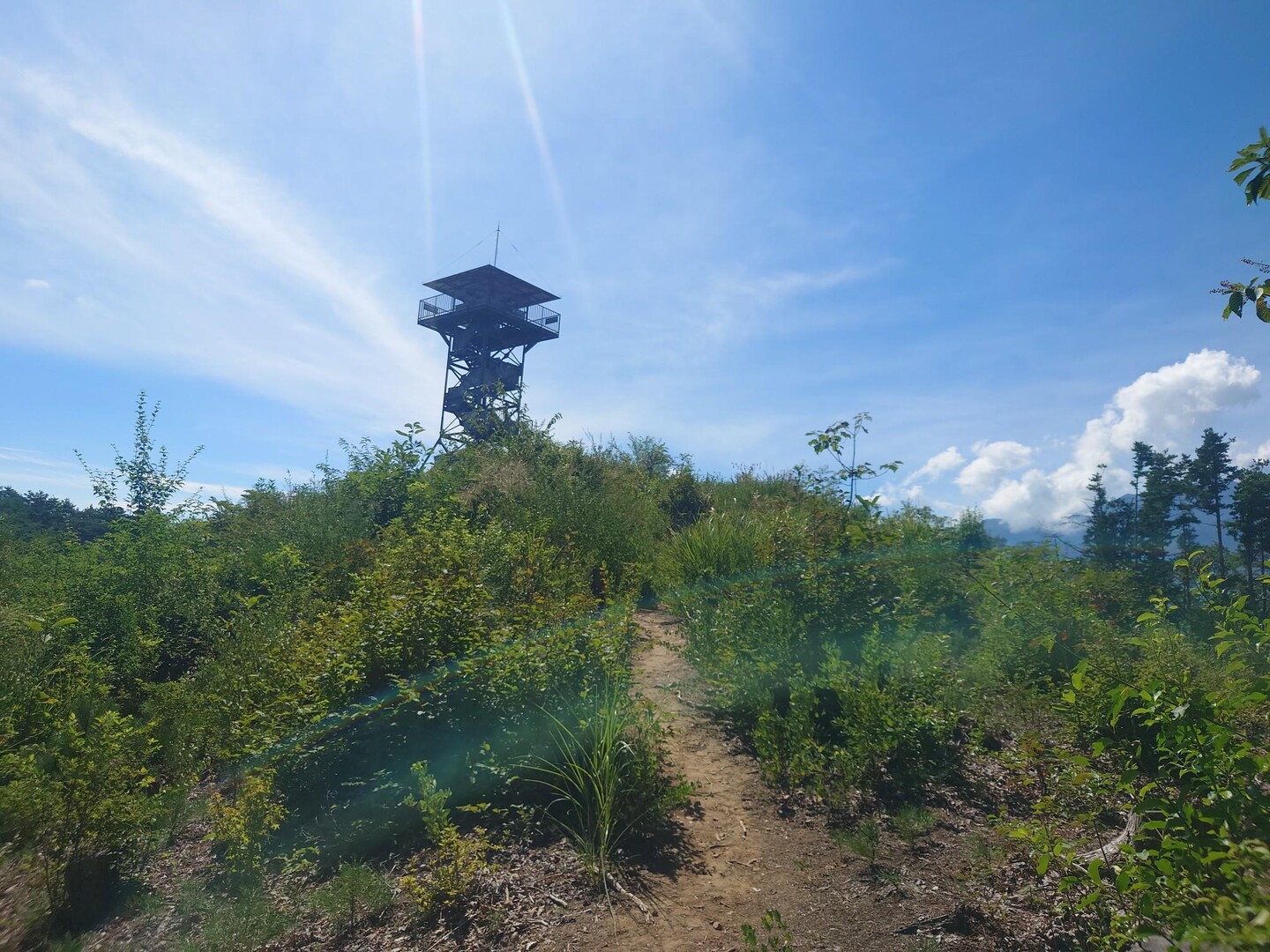 甲州強襲2023その4～バス間に合わず。呆然と静かなること林の如し・中山 / ANCさんの中山・中山砦の活動データ | YAMAP / ヤマップ