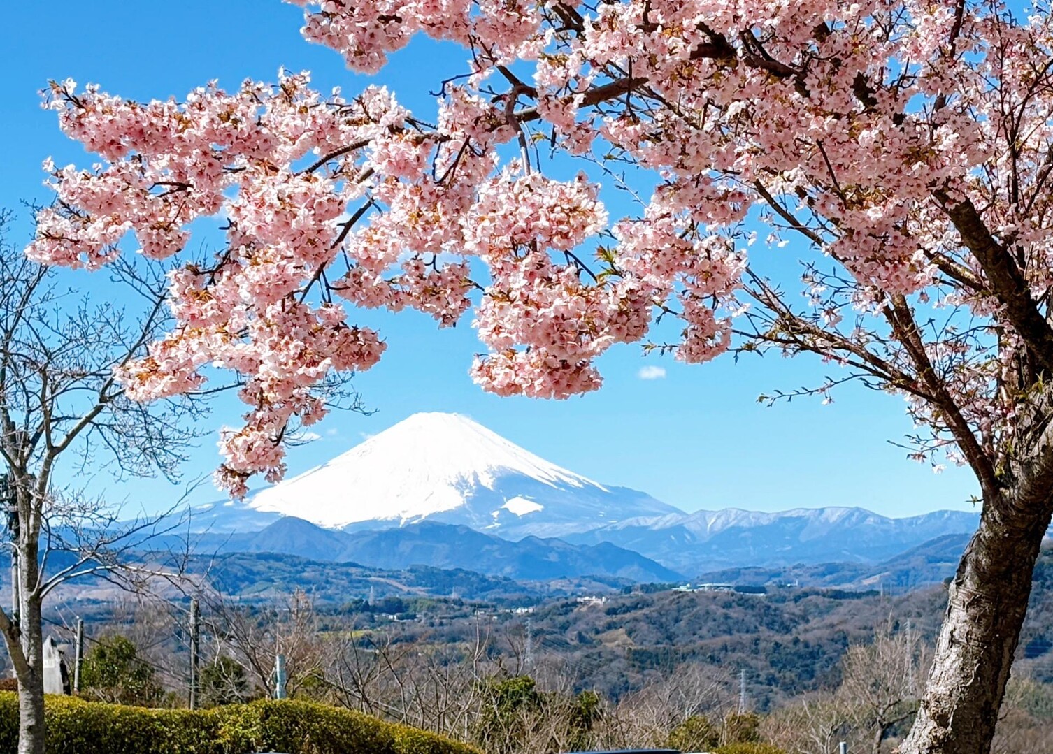 湘南平で真っ白な富士山🗻を見てきました... / PIROさんのモーメント | YAMAP / ヤマップ