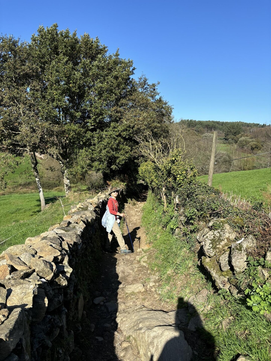 スペイン巡礼: Day② Portomarín - Palas de Rei / ターキーさんのカミーノ・デ・サンティアゴその30（Portmarin - Palas de Rei）の活動 ...