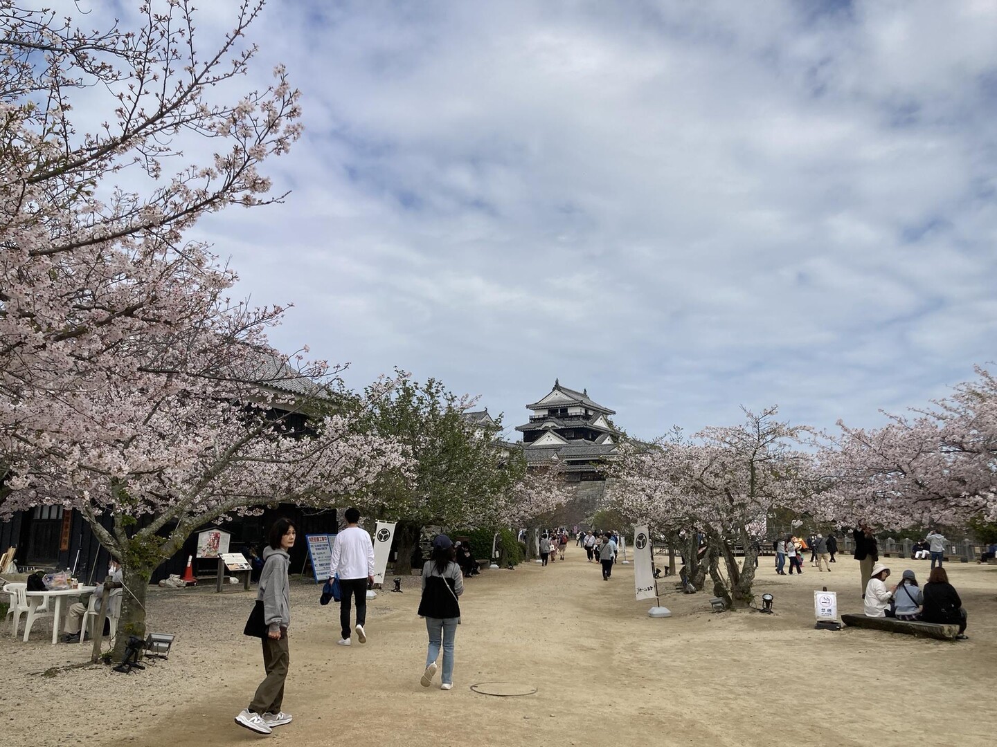 娘と花見@松山城 / Ypaaさんの四国遍路その15の活動データ | YAMAP / ヤマップ