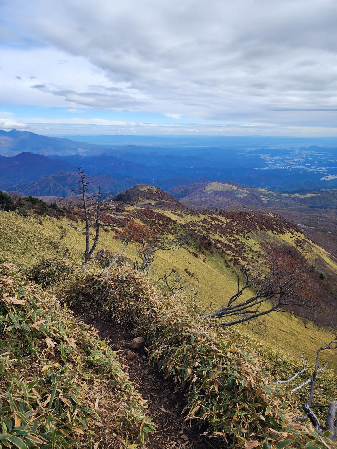 小丸山・赤薙山・一里ヶ曽根独標 / Monaさんの女峰山・赤薙山・大真名子山の活動データ | YAMAP / ヤマップ