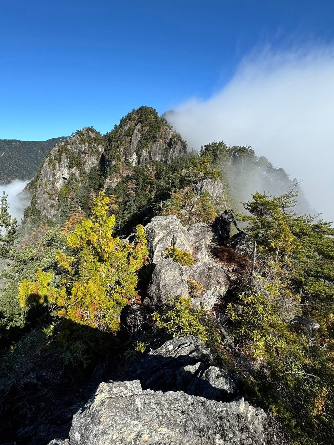 山梨四天王！鶏冠山、甲武信ヶ岳 / K Satomiさんの甲武信ヶ岳の活動データ | YAMAP / ヤマップ