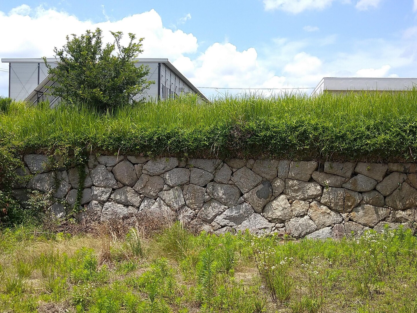 淡路島ウォーキング（洲本BC→津名港） / J.Majimaさんのウォーキングの活動データ | YAMAP / ヤマップ