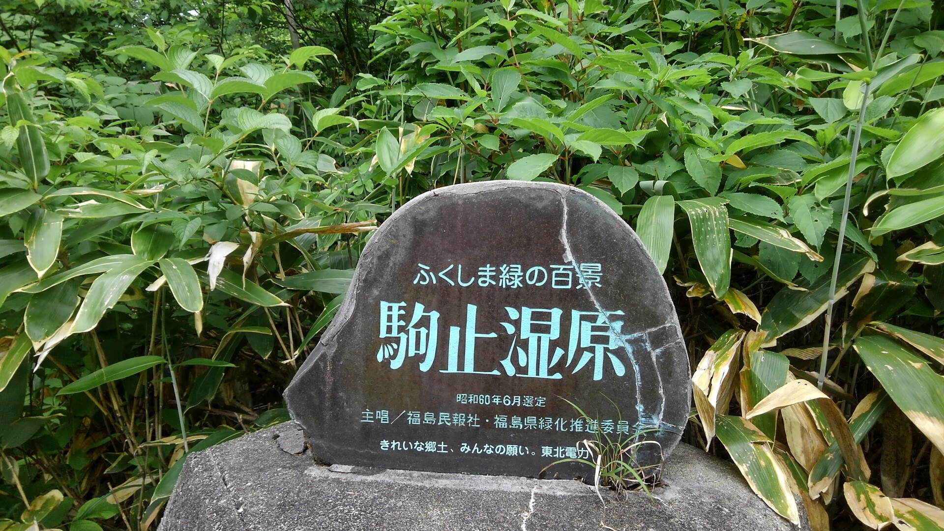 😃南会津の田島で、福島緑の百景 75ヶ... / campziziさんのモーメント | YAMAP / ヤマップ