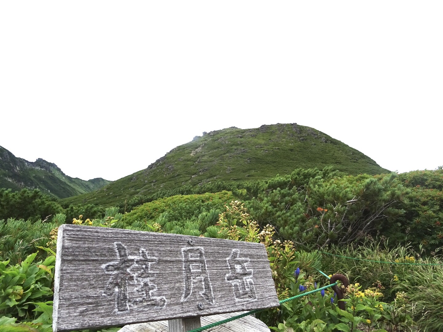 黒岳・桂月岳 / E-myさんの大雪山系・旭岳・トムラウシの活動データ | YAMAP / ヤマップ