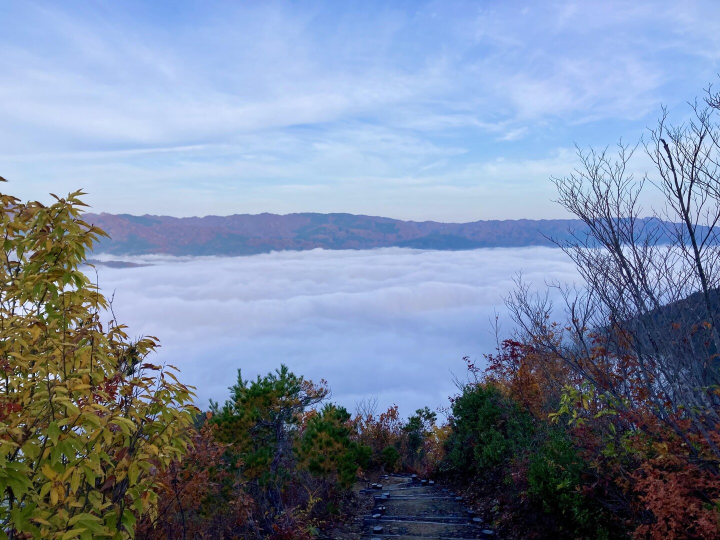 坂戸山39・40 / karashiさんの坂戸山の活動データ | YAMAP / ヤマップ