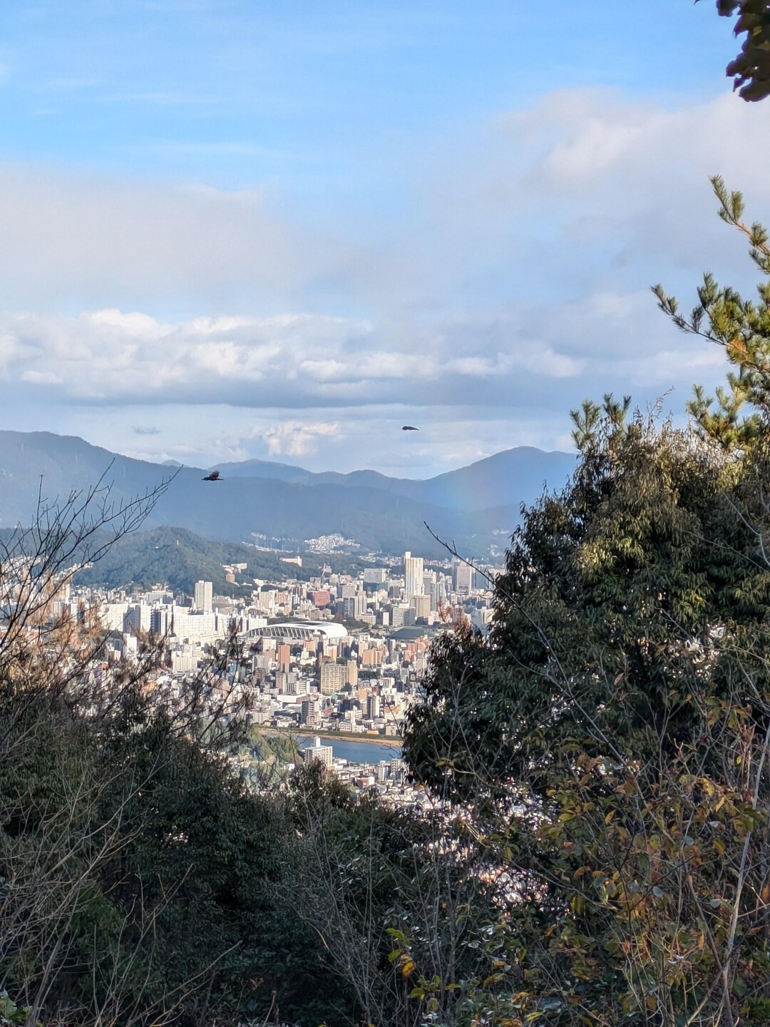 茶臼山〜高峠山〜大茶臼山〜柚木城山〜見越山 / jonasanさんの広島南アルプス（武田山・三滝山・鈴ヶ峰）の活動データ | YAMAP / ヤマップ