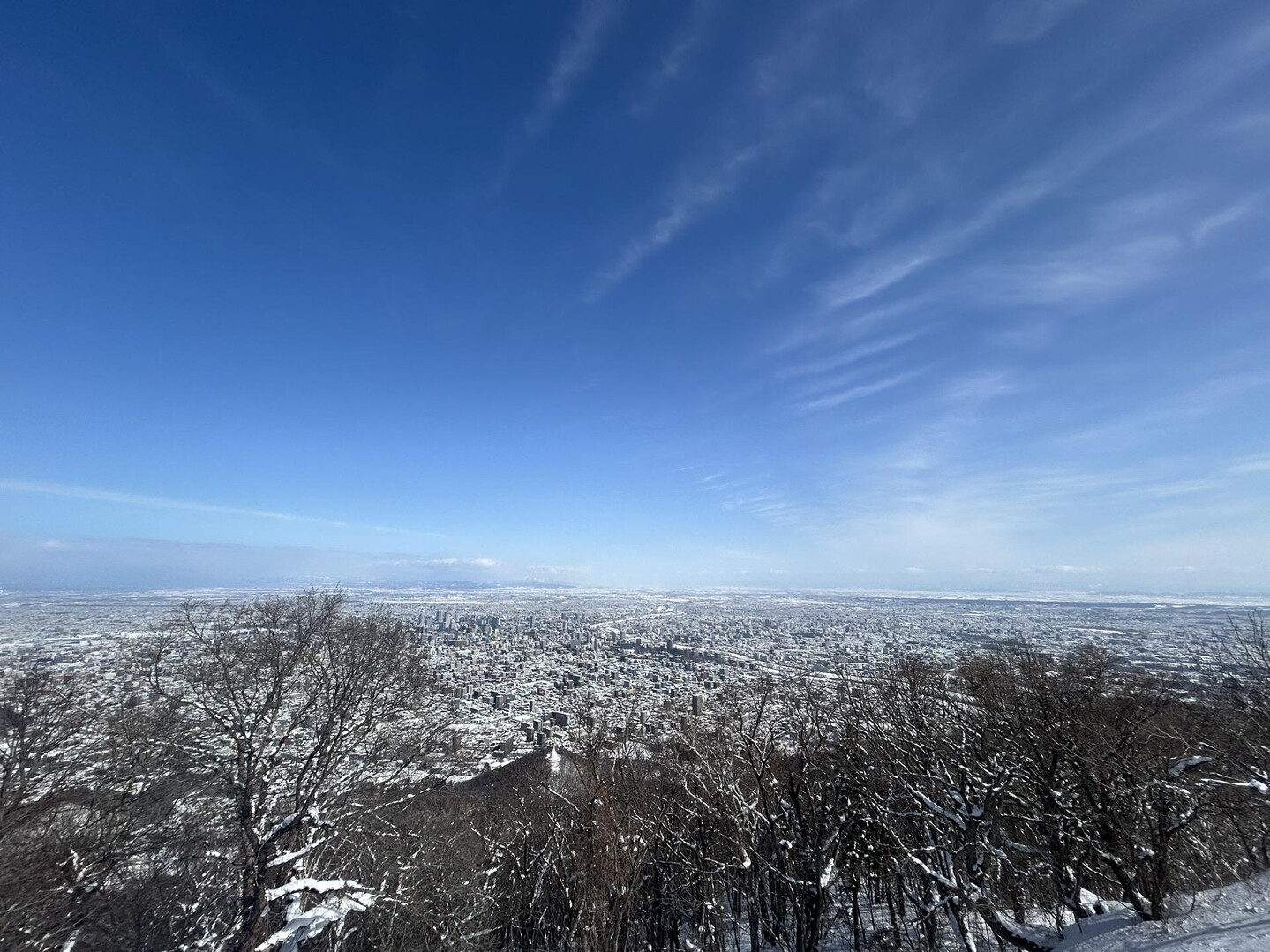 藻岩山 / AZUさんのウォーキングの活動データ | YAMAP / ヤマップ