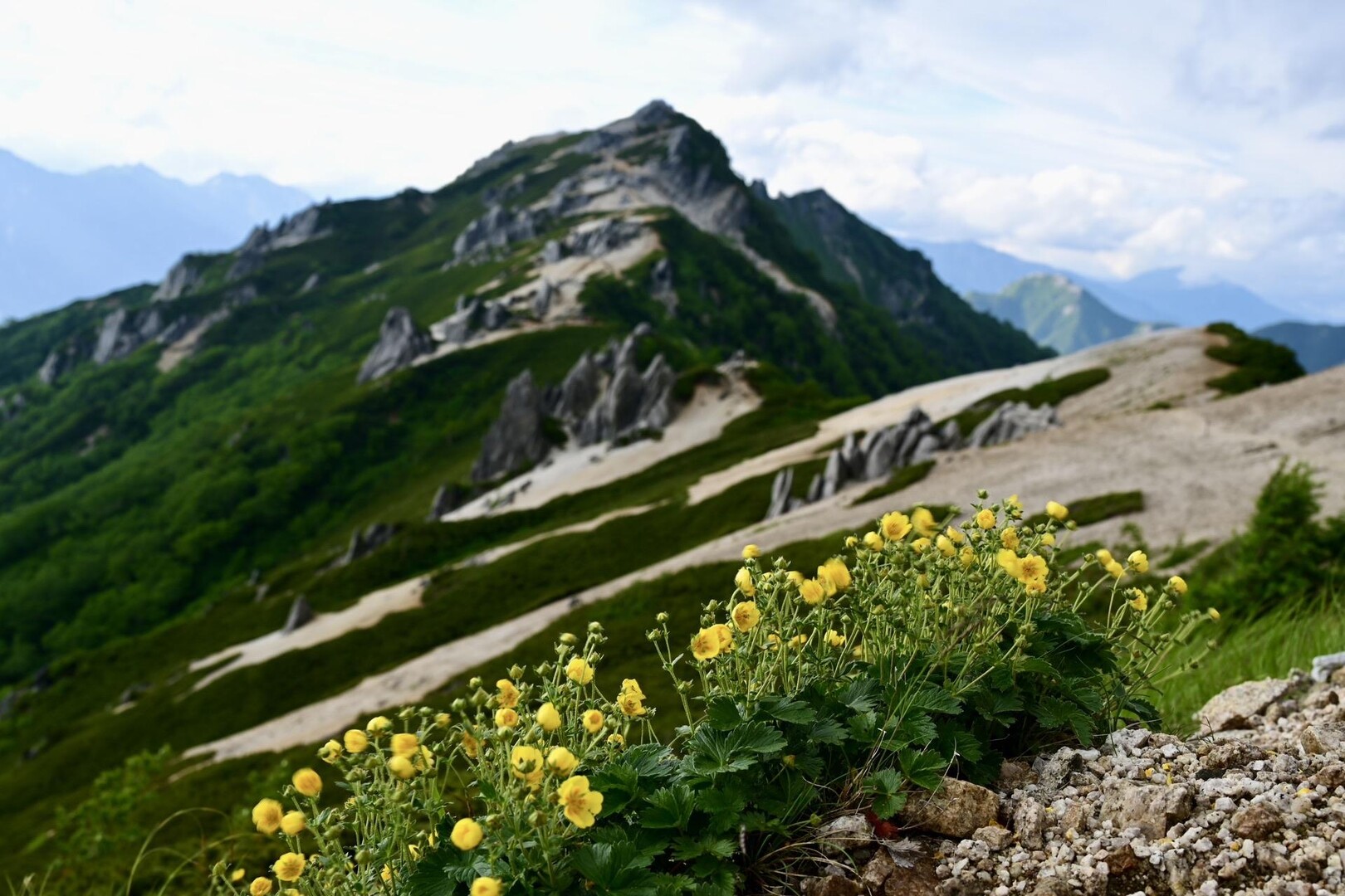 コマクサ咲く燕岳 / puku68さんの燕岳・餓鬼岳・唐沢岳の活動データ | YAMAP / ヤマップ