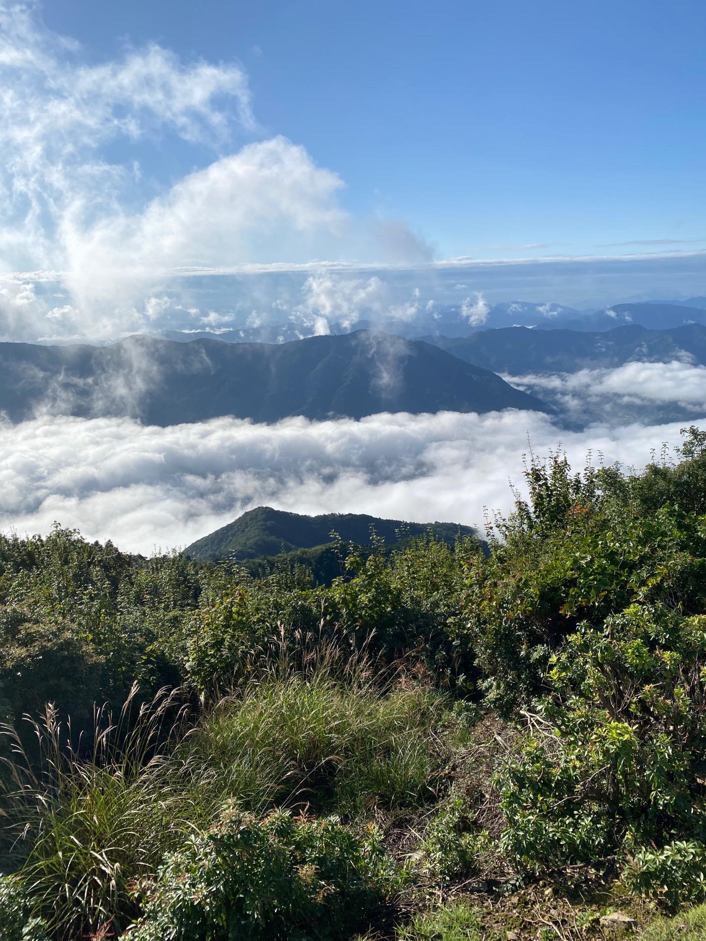 白木山 / benchanさんの白木山・高松山・鬼ヶ城山の活動データ | YAMAP / ヤマップ