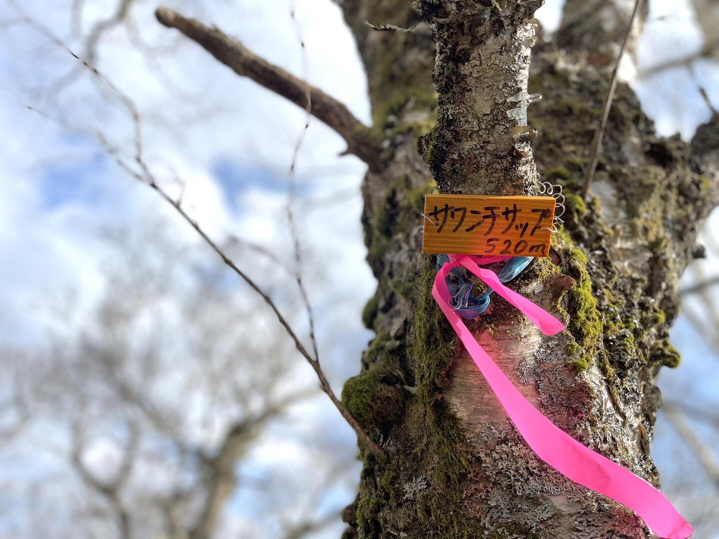 森遊び🍂ポンポン山・サワンチサッブ / momo🐦さんのポンポン山・硫黄山・屈斜路湖の活動日記 | YAMAP / ヤマップ