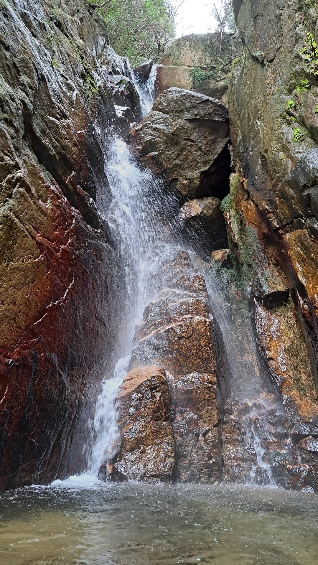 大月地獄谷⤴️～紅葉谷・百間谷⤵️ / YAMA-Gさんの六甲山・長峰山・摩耶山の活動データ | YAMAP / ヤマップ
