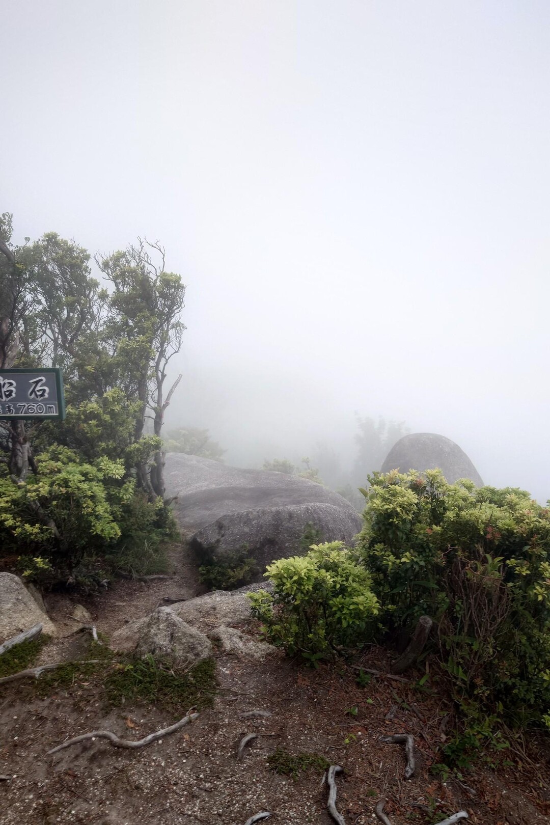 鬼ヶ牙・長坂の頭・大岩・船石・ベンケイ・臼杵ヶ岳・相場振山・錐山・霧ヶ岳・北山 / palさんの入道ヶ岳・鎌ヶ岳・仙ヶ岳の活動データ | YAMAP / ヤマップ