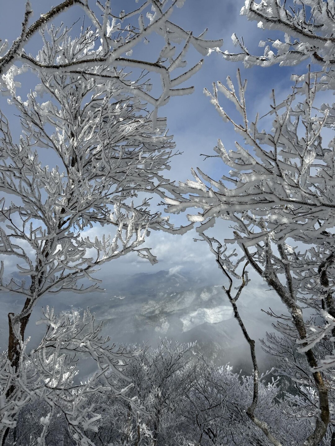 三峰山 / emiさんの三峰山・学能堂山・栗ノ木岳の活動データ | YAMAP / ヤマップ