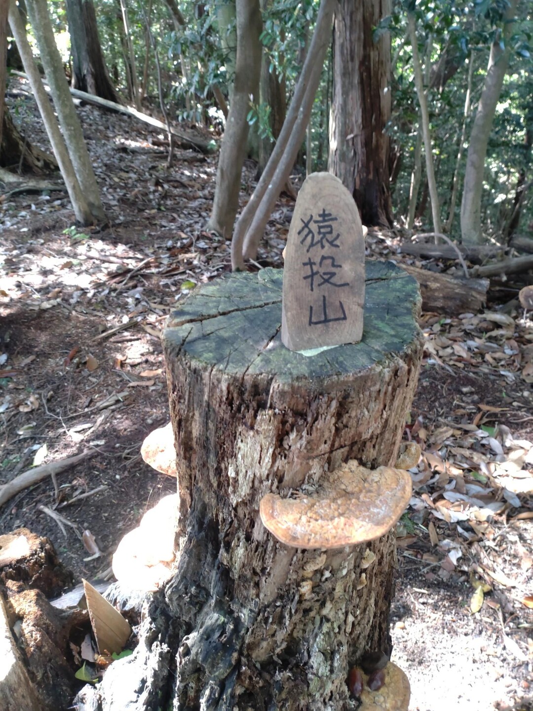 猿投山 / ks104478さんの猿投山・物見山の活動データ | YAMAP / ヤマップ