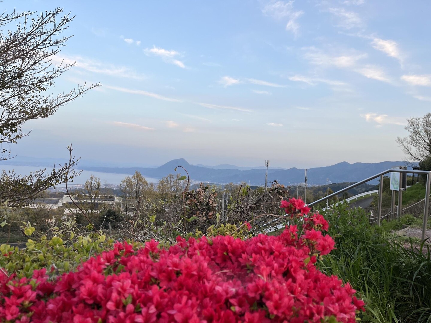 別府出張♨️ 別府湾SAからの眺望 ヤマ... / kobaさんのモーメント | YAMAP / ヤマップ