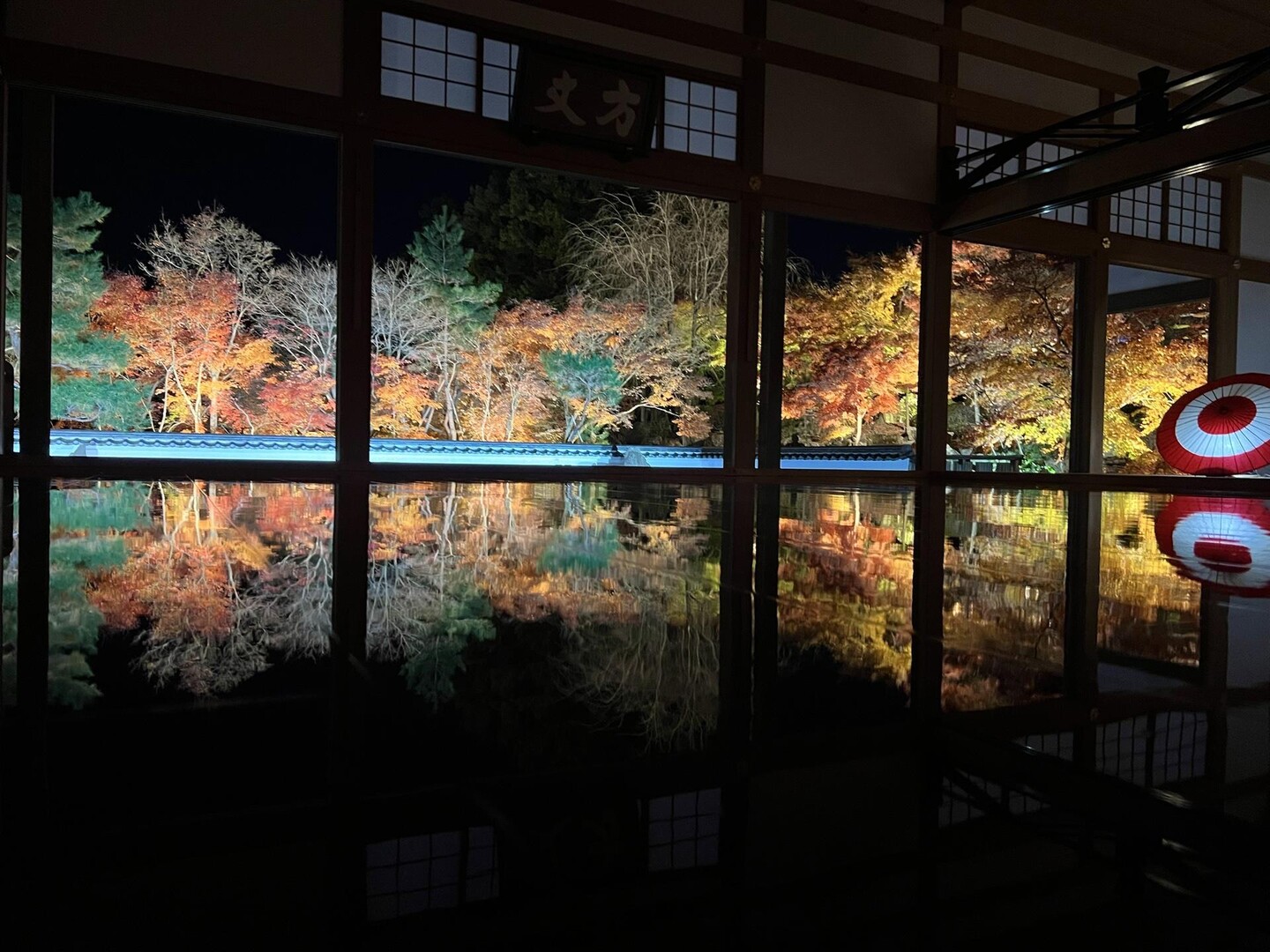 美しきラスト / 🌺SAE🌺さんの観音山の活動データ | YAMAP / ヤマップ