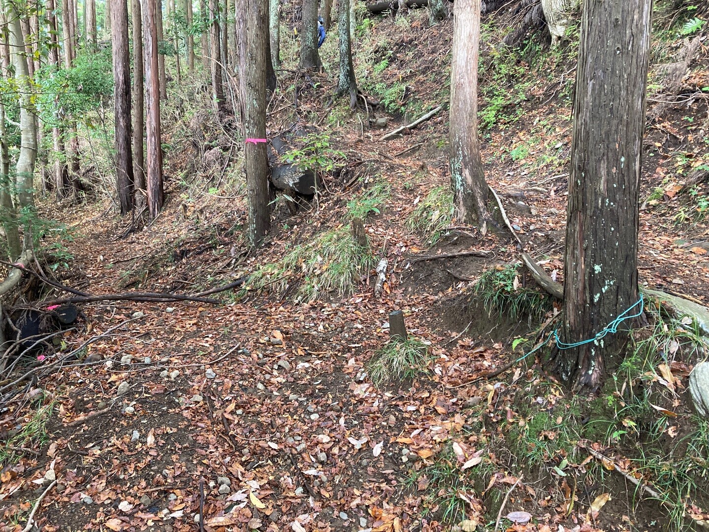 gar!さんの投稿したフィールドメモ | YAMAP / ヤマップ