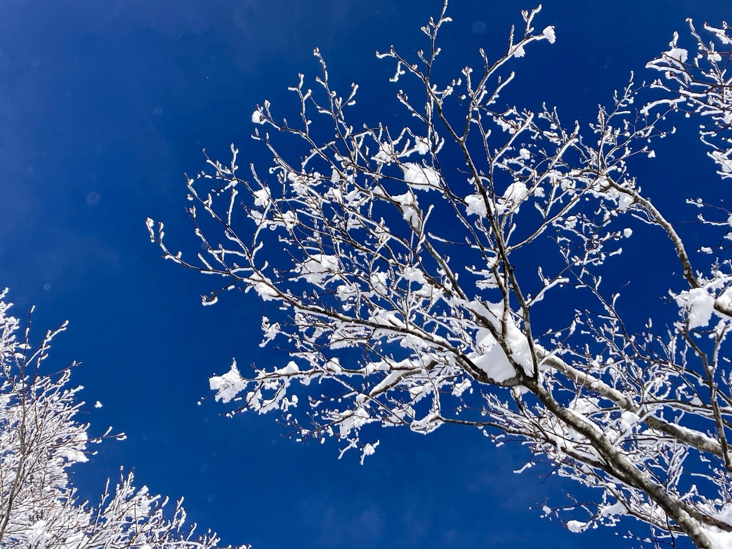 猪臥山のソラ色は〜💙 ︎*＊* / emikoroさんの猪臥山の活動データ | YAMAP / ヤマップ