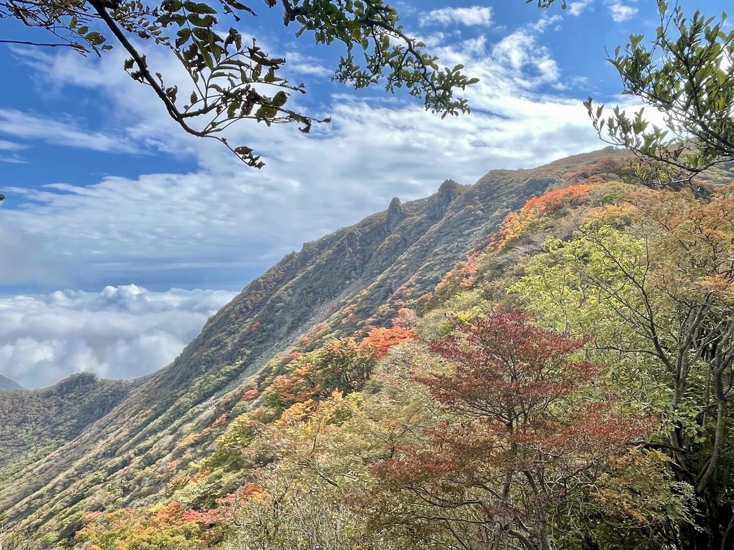 大船山・北大船山・三俣山（西峰）・三俣山（Ⅳ峰）・三俣山（本峰）・三俣山（北峰）・三俣山（南峰） / thyさんの九重山（久住山）・大船山・星生山の活動データ | YAMAP / ヤマップ