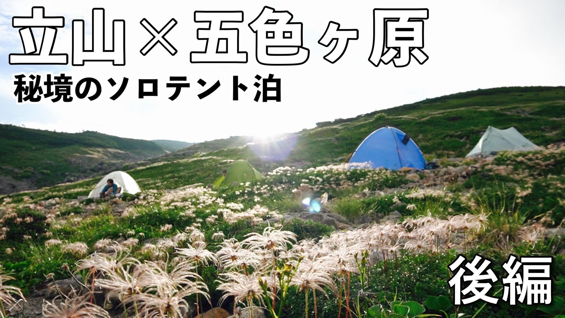 【立山×五色ヶ原】テント泊ソロ登山 夏の... / りんもくさんのモーメント | YAMAP / ヤマップ
