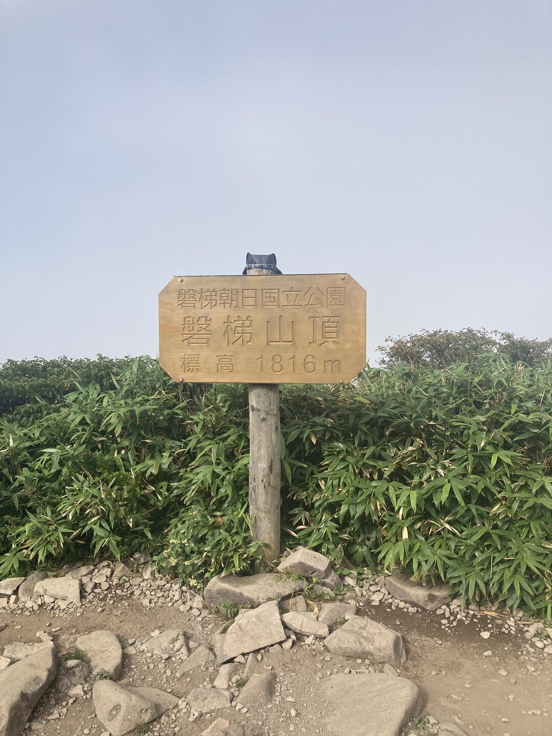 磐梯山 / yuriさんの磐梯山・雄国山・赤埴山の活動データ | YAMAP / ヤマップ