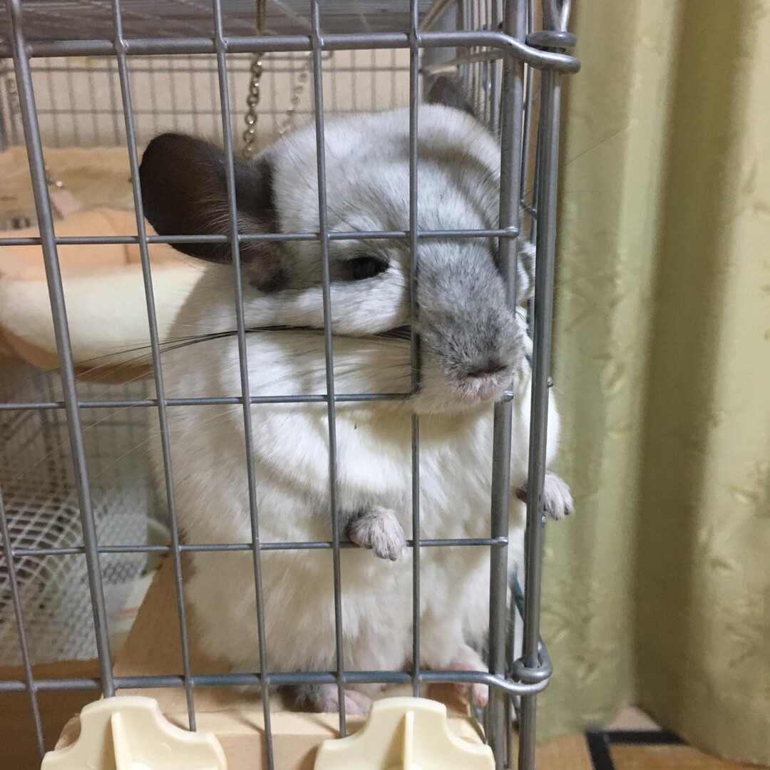 hiroのページ | YAMAP / ヤマップ