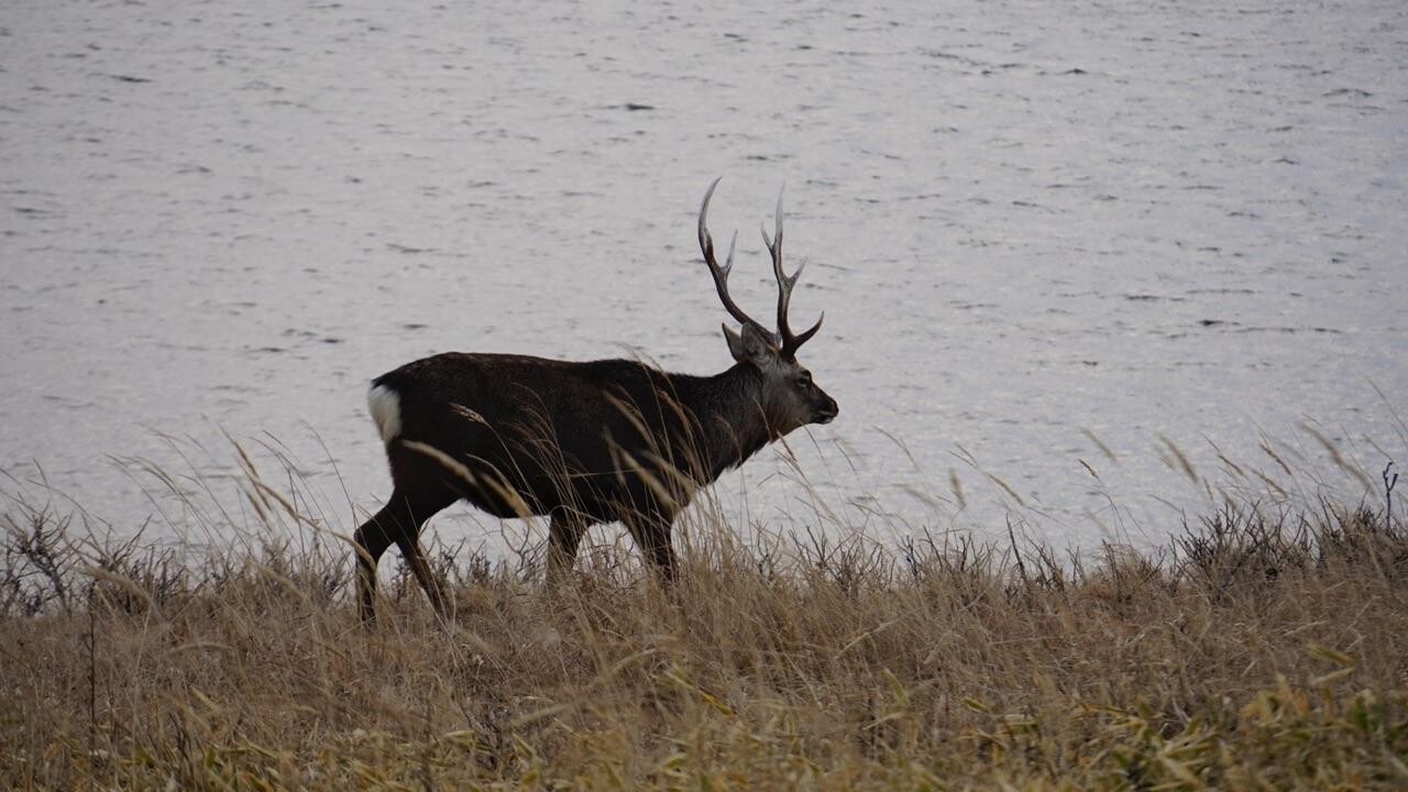 yuzu_coのページ | YAMAP / ヤマップ