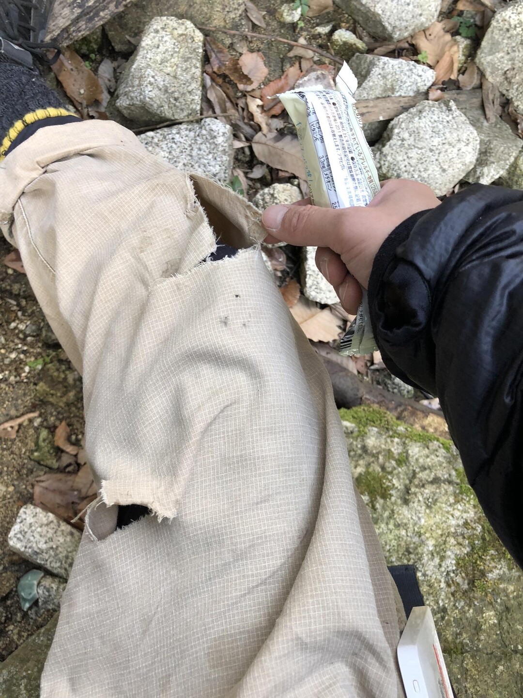 菊水山撤退w / chitoさんの神戸市の活動データ | YAMAP / ヤマップ