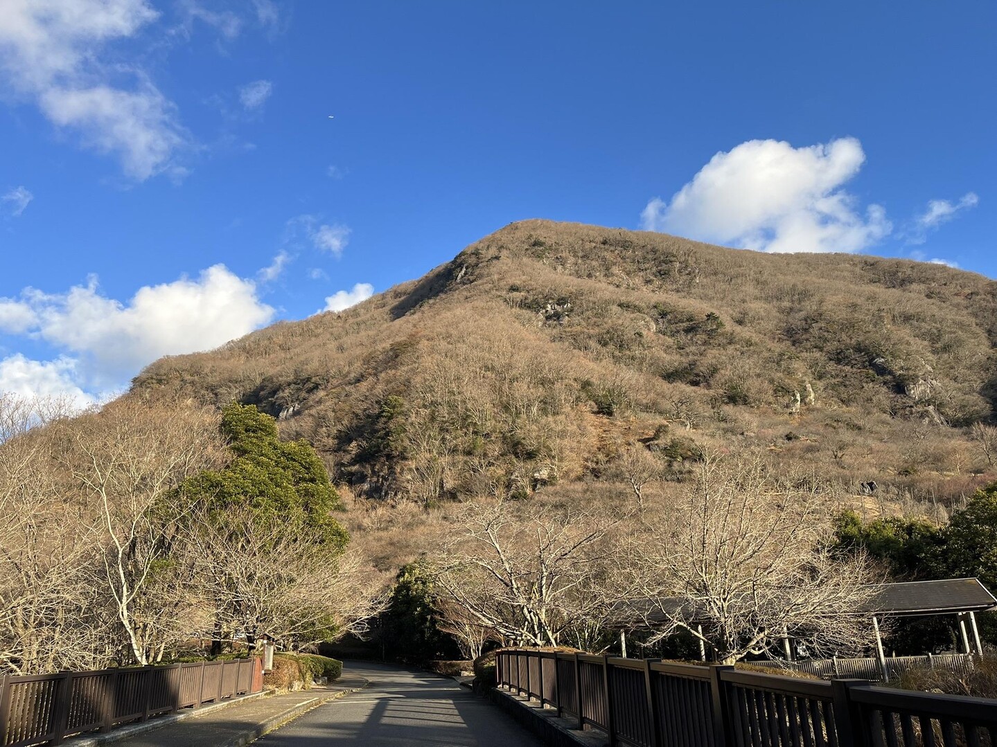 湯河原幕岩 フリー / TACさんのクライミングの活動データ | YAMAP / ヤマップ