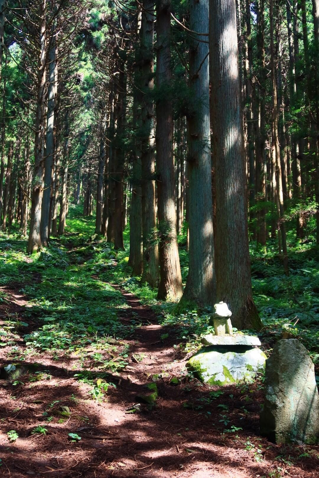 240824 室根山 🧚‍♂️に会いに行ったものの😅 / Y.Sさんの室根山の活動データ | YAMAP / ヤマップ