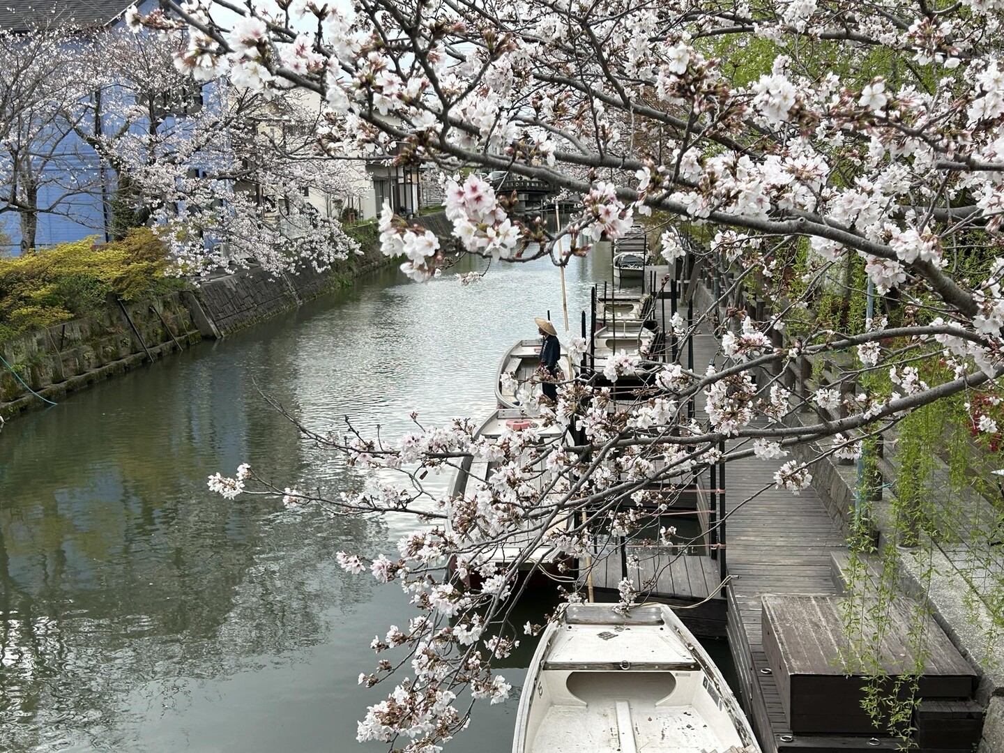 柳川市といえば川下り。 三柱神社鳥居前の... / yasuさんのモーメント | YAMAP / ヤマップ