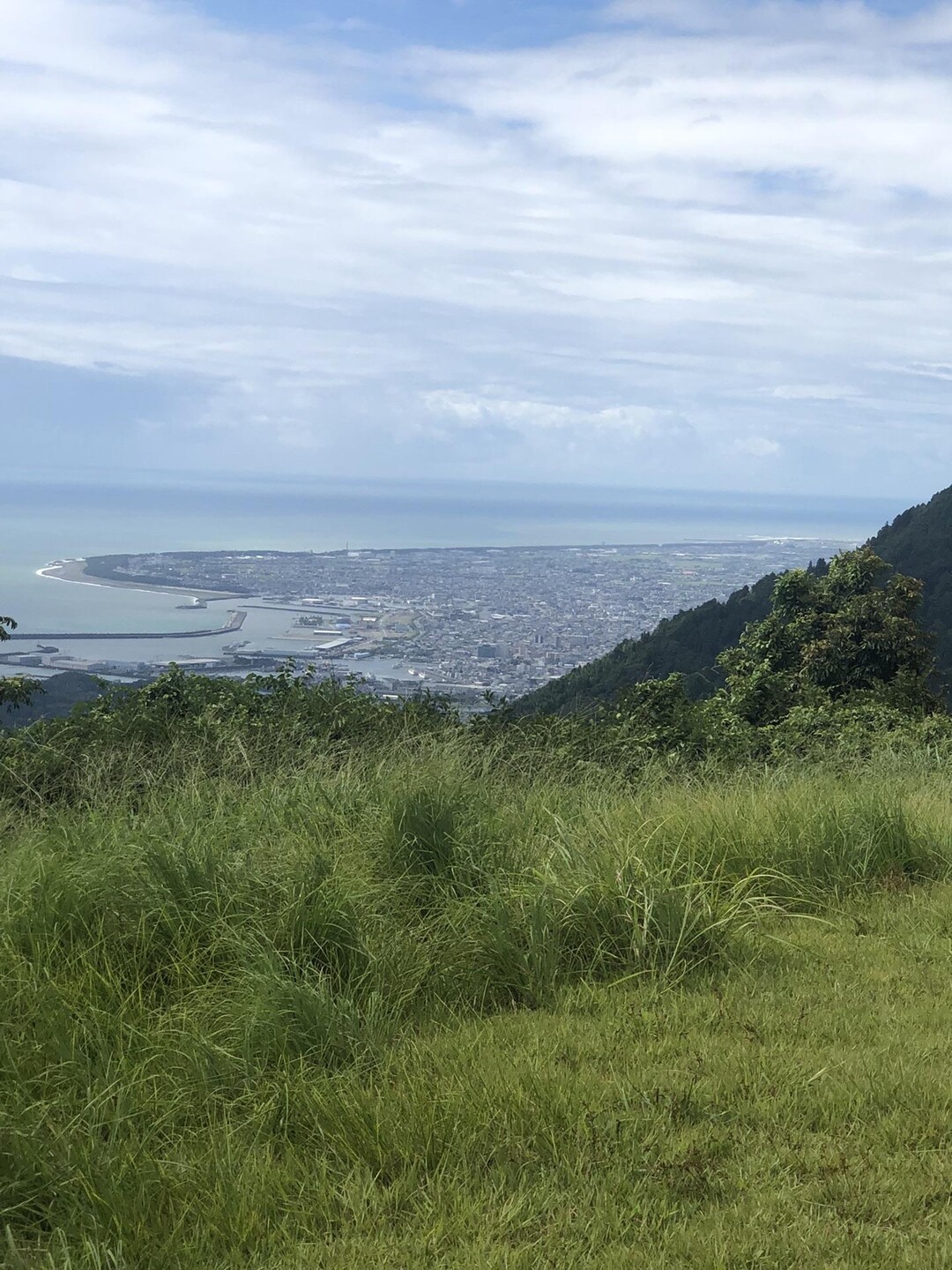 満観峰 立秋なのに•••！ / sky highさんの焼津アルプス（高草山・満観峰・花沢山）・徳願寺山の活動データ | YAMAP / ヤマップ