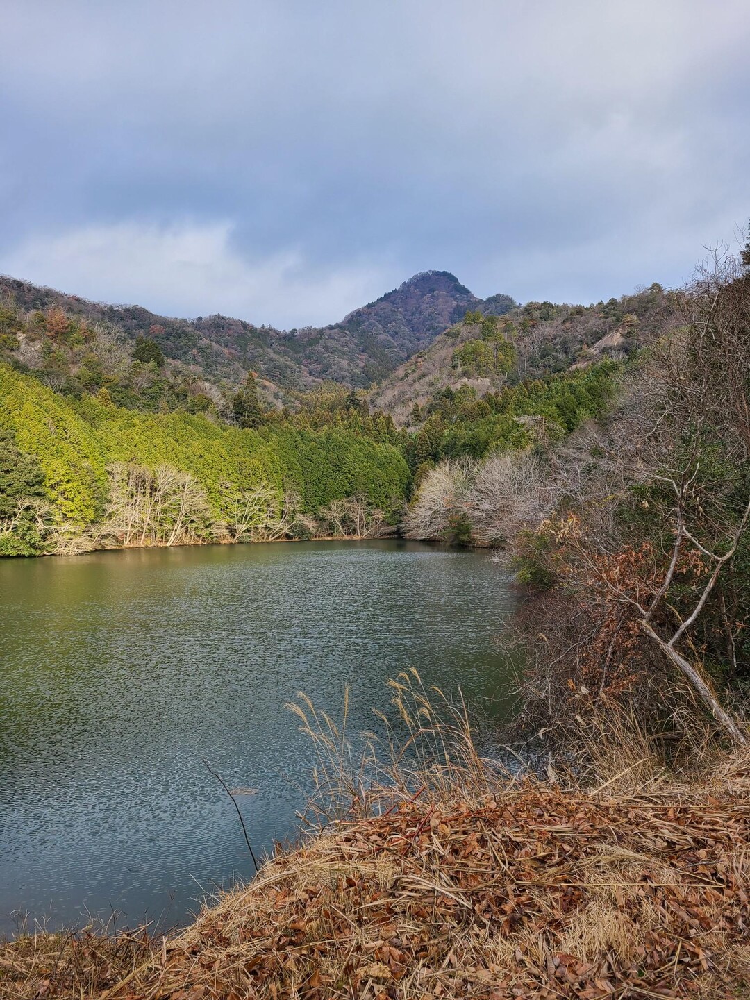 明神山(播磨富士) / secchanさんの明神山・太郎岳の活動データ | YAMAP / ヤマップ