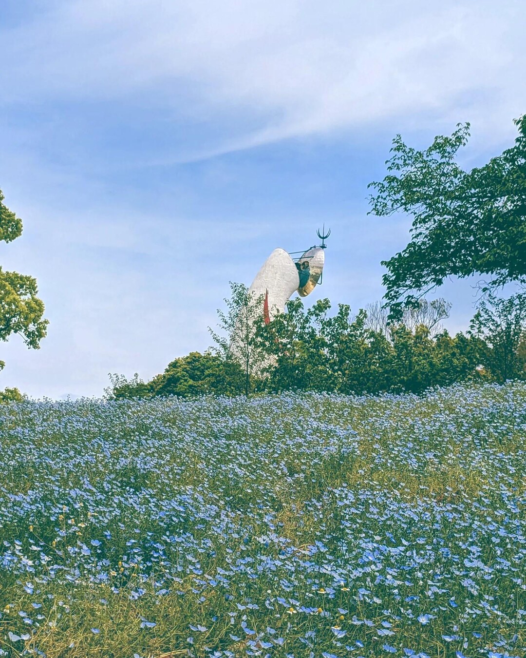 KEIKOのページ | YAMAP / ヤマップ