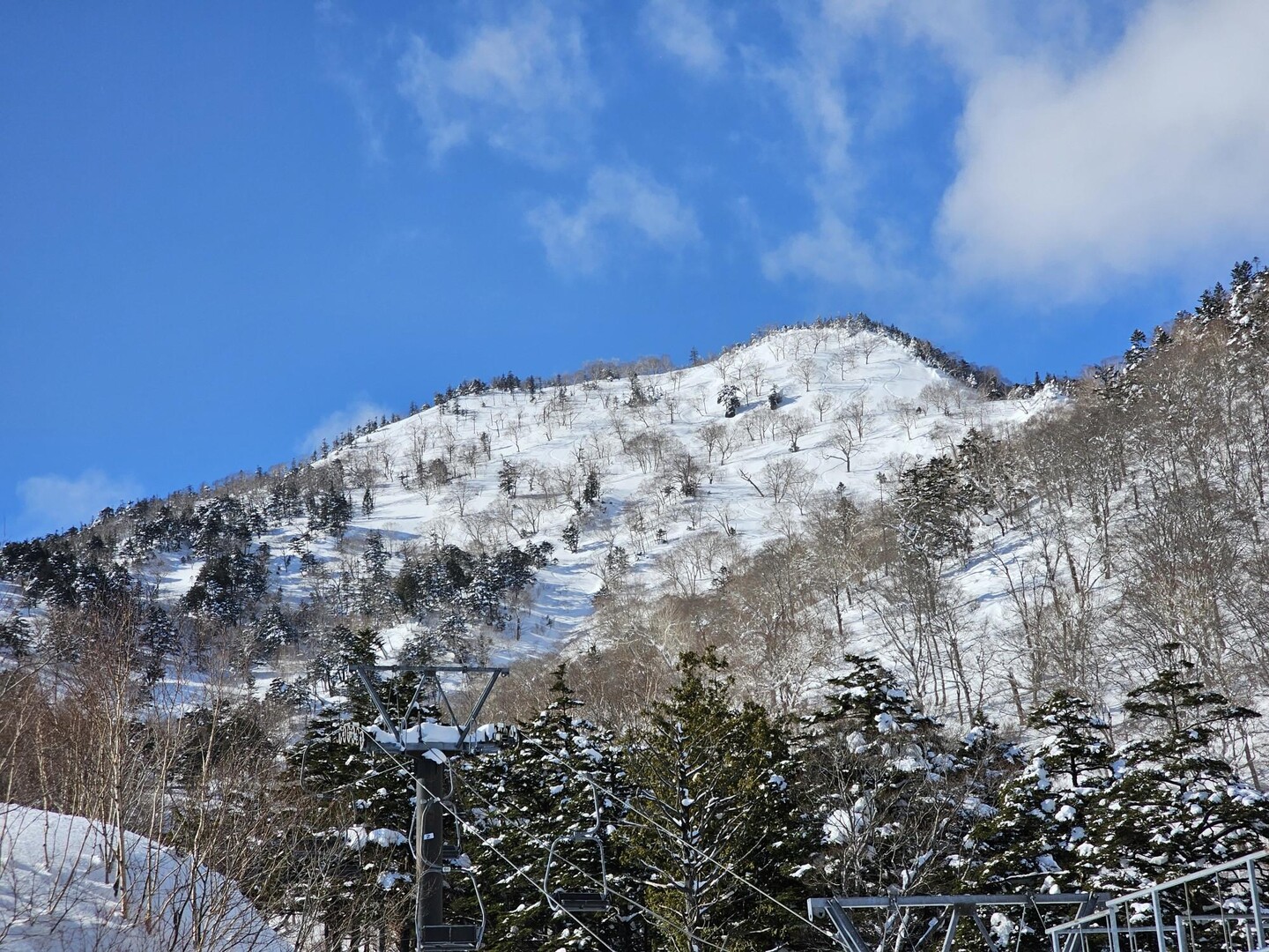 前武尊 / naka-zさんの武尊山・鹿俣山・尼ヶ禿山の活動データ | YAMAP / ヤマップ